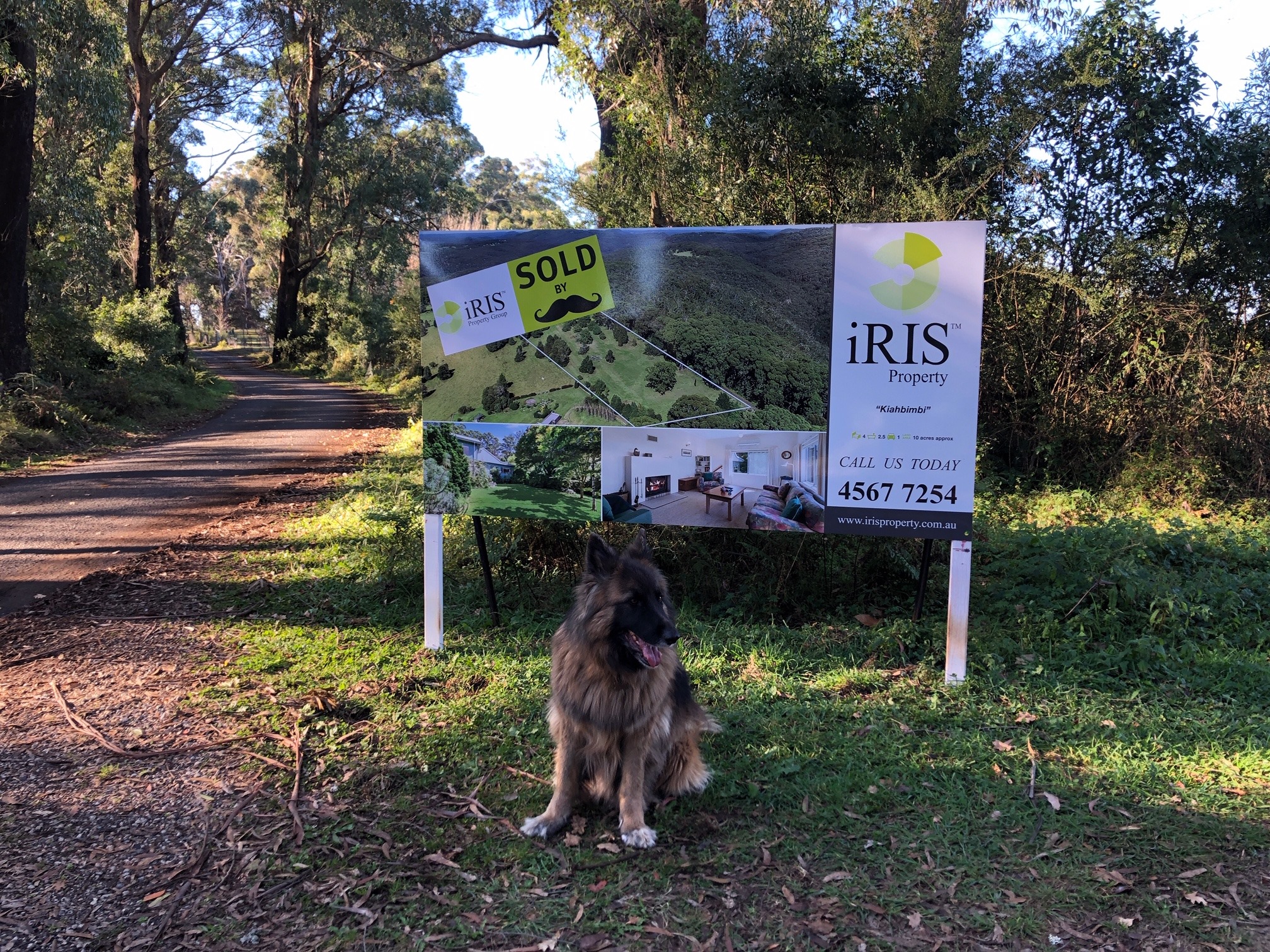 About iRIS Properties | iRIS Property Real Estate Agents